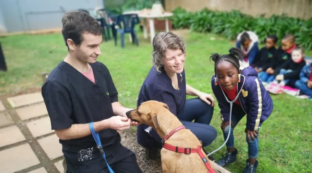 Study Veterinary Sciences and Animal Health at the University of ...